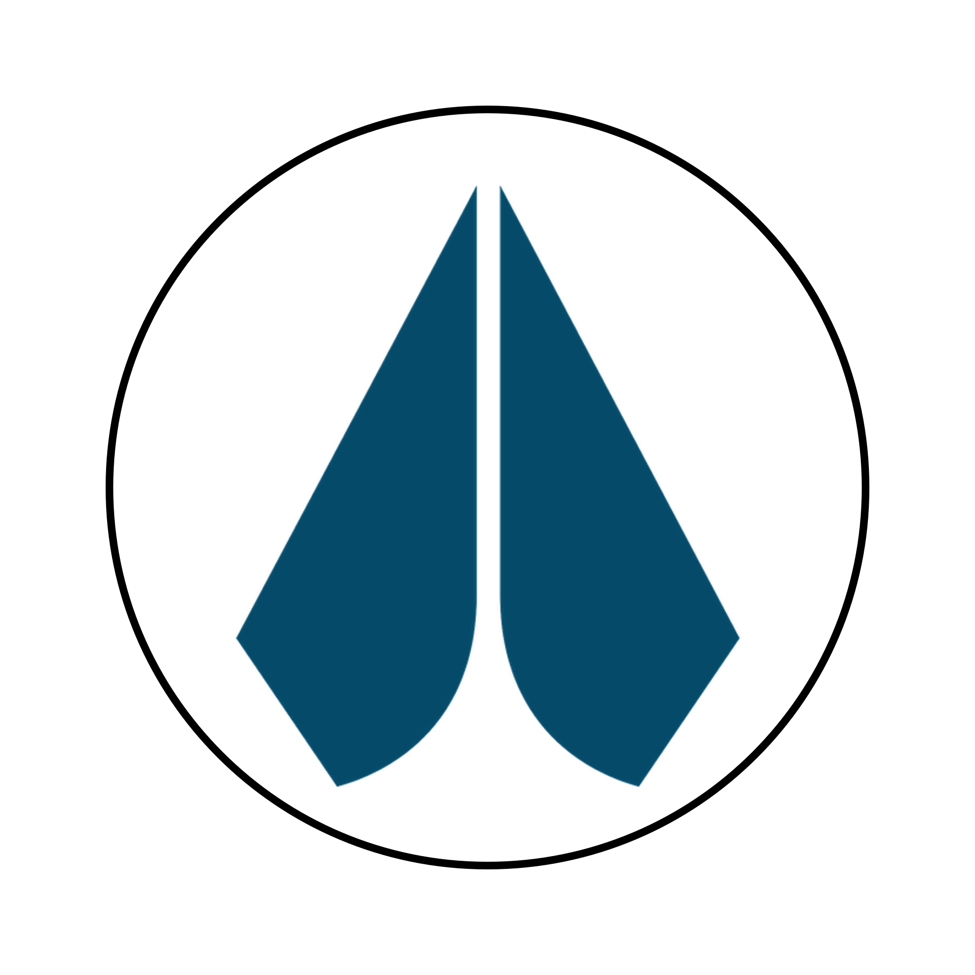 The Aerospace Adversary